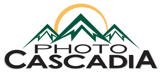 New Article on Image Composition - Photography By Erin Babnik